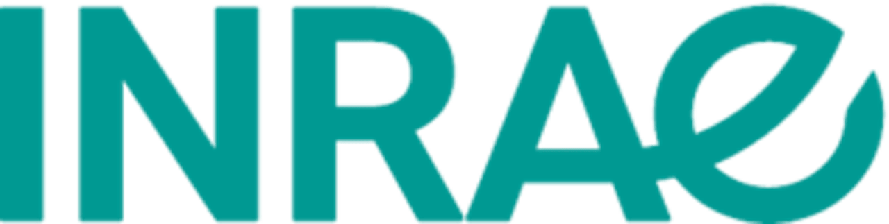 Development of a sustainability self-assessment tool for urban ...